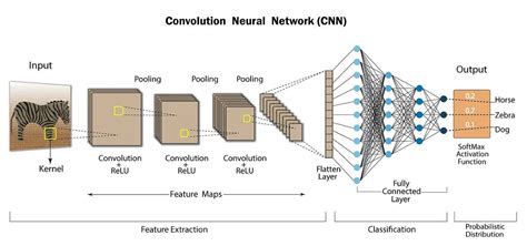 understanding convolutional neural networks cnns by pratham singla medium