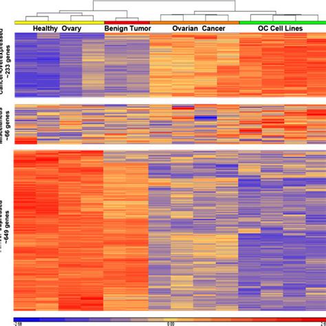 Hierarchical Clustering Of Ovarian Cancer Gene Heat Maps Depicting