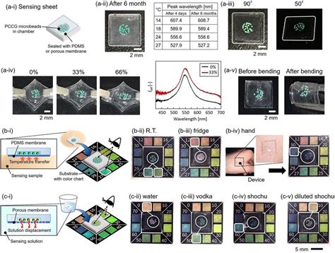 eye recognizable flexible sensing device a i schematic illustration download scientific