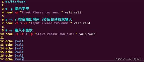 linux shell脚本编程 linux脚本编写 csdn博客