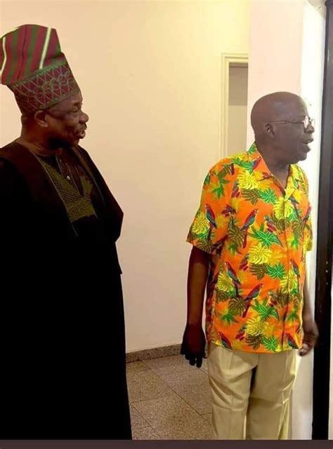 Official Presidential Portrait Of Tinubu Unveiled Take A Look