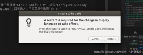 vscode汉化设置中文 csdn博客