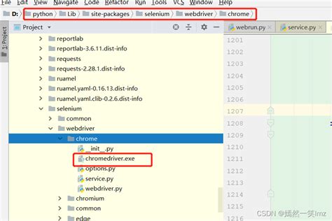 解决selenium common exceptions WebDriverException Message