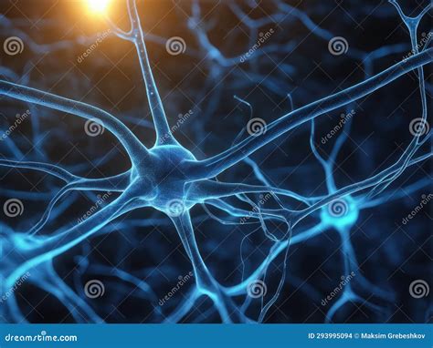 Neurons Communicate With Each Other Using Electrochemical Signals
