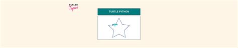 turtle programming in python scaler topics