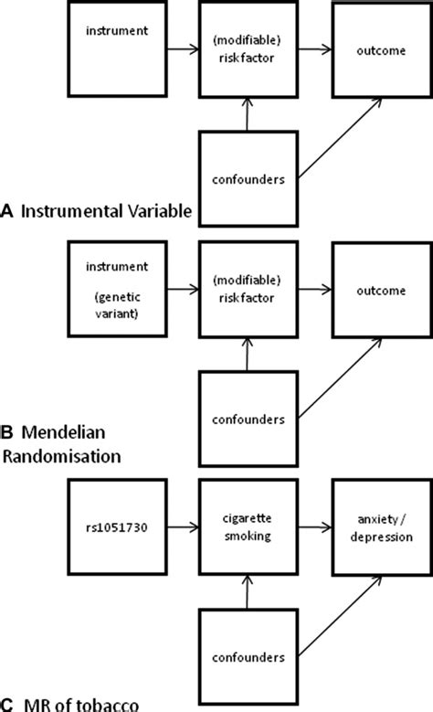 directional acyclical graphs of instrumental variable analysis and download scientific diagram