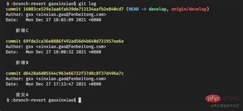 Let You Understand The Git Rollback Code Detailed Examples Git Php Cn