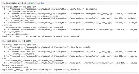 typeerror init got an unexpected keyword argument case sensitive · issue 335 · bentoml