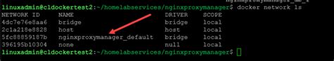setting up nginx proxy manager on docker with easy letsencrypt ssl virtualization howto