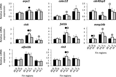 Expression Levels Of Candidate Genes Selected Based On Co Expression