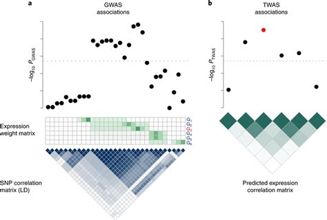 illustration of the induced correlation structure for predicted download scientific diagram