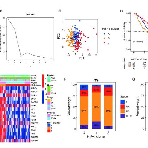 consensus clustering analysis identified three hif 1 clusters of pdac download scientific
