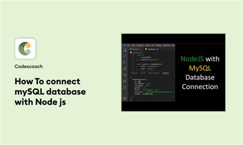 How To Connect MySQL Database With Node Js CodexCoach
