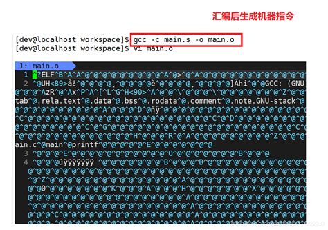 【linux】程序的编译与运行（4阶段实例 图解） 程序运行四个阶段 csdn博客