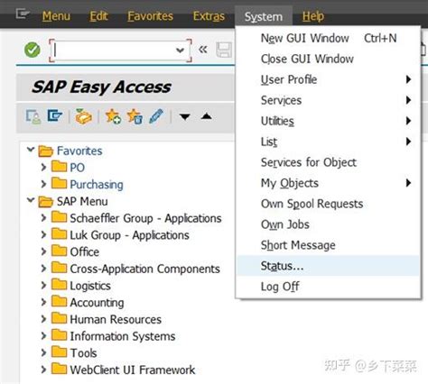 sap版本及如何通过sap查询版本信息 知乎