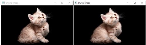 Gaussian Blur trong OpenCV w3seo Làm mờ là kỹ thuật quan trọng OpenCV