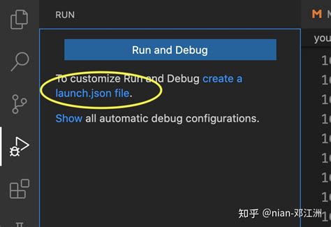 vscode无法配置launch python debug 中的 launch json 例子是 youtube dl csdn博客