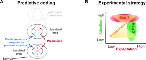 a schematic of hierarchical predictive coding across