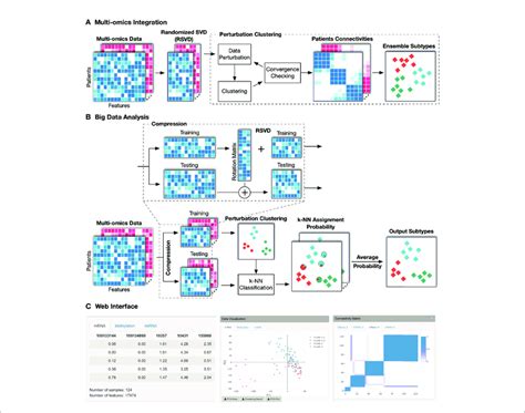 the overall workflow of smrt a analysis pipeline for data with download scientific diagram
