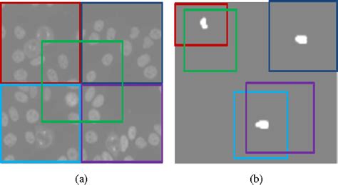 figure 1 from hep 2 specimen classification using multi resolution local patterns and svm