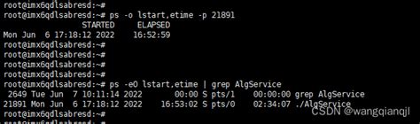 linux查看进程启动时间 csdn博客