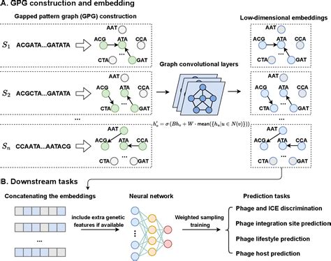 figure 1 from a graph representation of gapped patterns in phage sequences for graph