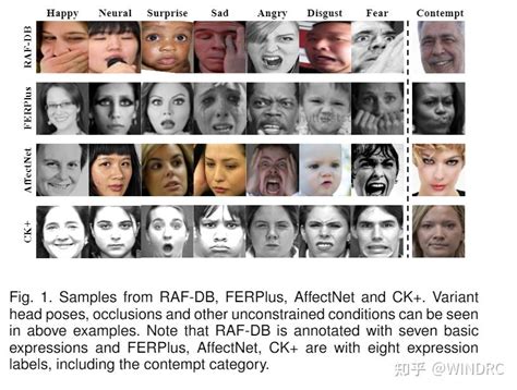 robust facial expression recognition with convolutional visual transformers 知乎