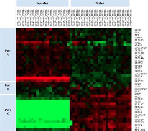 b hierarchical supervised cluster of differentially expressed genes download scientific