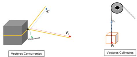collinear vectors and examples notes read
