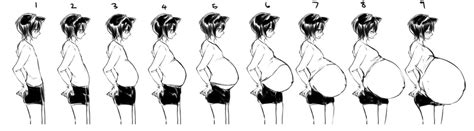 Mpreg Anatomy