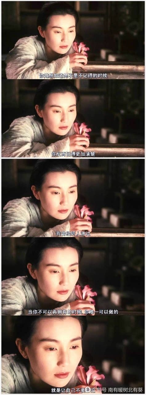 你们收藏了哪些经典电影台词的截图娱乐腾讯网