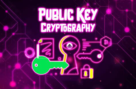 what is public key cryptography explained simply infographics