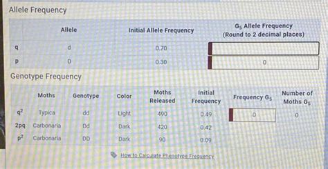 Solved Calculate Allele Frequencies In The 5th Generation