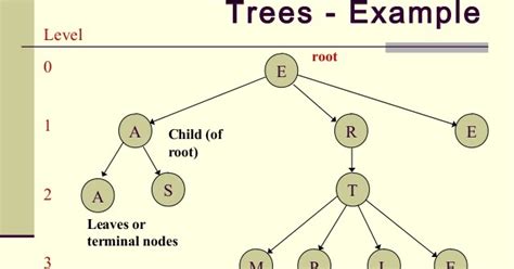 pertemuan 4 introduction to tree binary tree and expression tree 2101654812 i steven