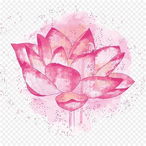 手绘莲花矢量图PNG图片素材下载 图片编号8550872 PNG素材网