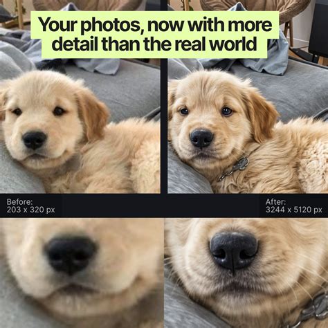 How To Increase Image DPI To 300 For Print 2024 LetsEnhance