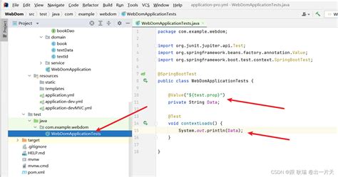 java springboot在当前测试类中添加临时属性 不影响application和其他范围 java获取给实体类里新增临时属性 csdn博客