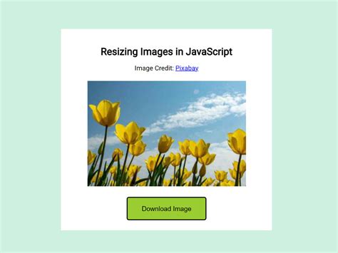 Resize Image JavaScript Using Canvas CodeHim
