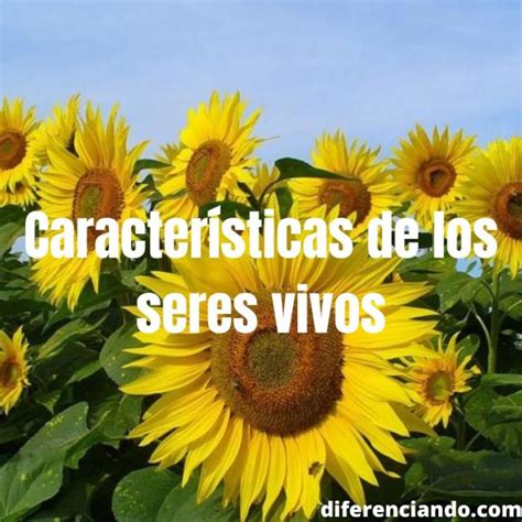 Características Destacadas De Los Seres Vivos Diferenciando