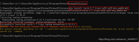 python下安装torch