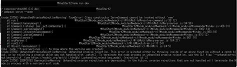 how can i resolve webpack dev server setting error in vue js stack overflow