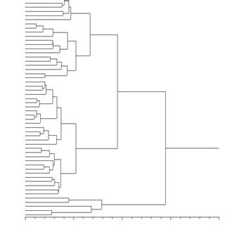 A Dendrogram Derived From UPGMA Cluster Analysis Using A Jaccard S