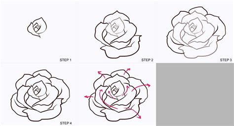 By Drawing Rose Step Step 266 Drawing Group Fepaex Org