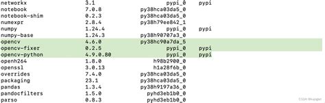 AttributeError module cv2 dnn has no attribute DictValue问题解决