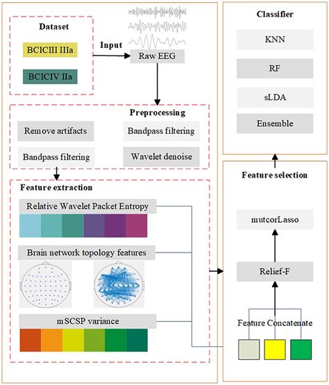 frontiers motor imagery classification method based on relative wavelet packet entropy brain