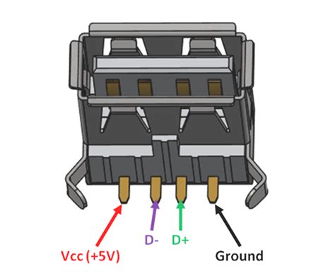 Usb Type A Connector Pinout 10 Usb Explained B Cmale And Female