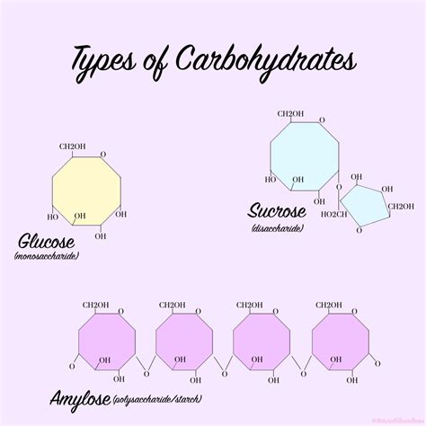 Types Of Carbohydrates Structure