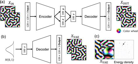 a schematic diagram of the variational autoencoder and examples of download scientific