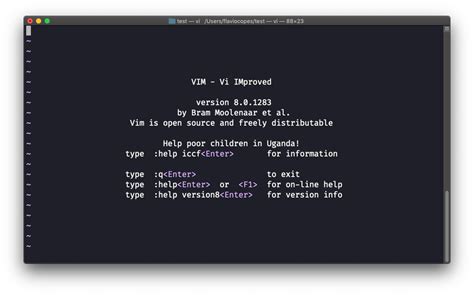 a short guide to vim