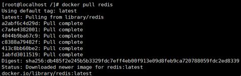 docker 安装 redis docker redis cli csdn博客